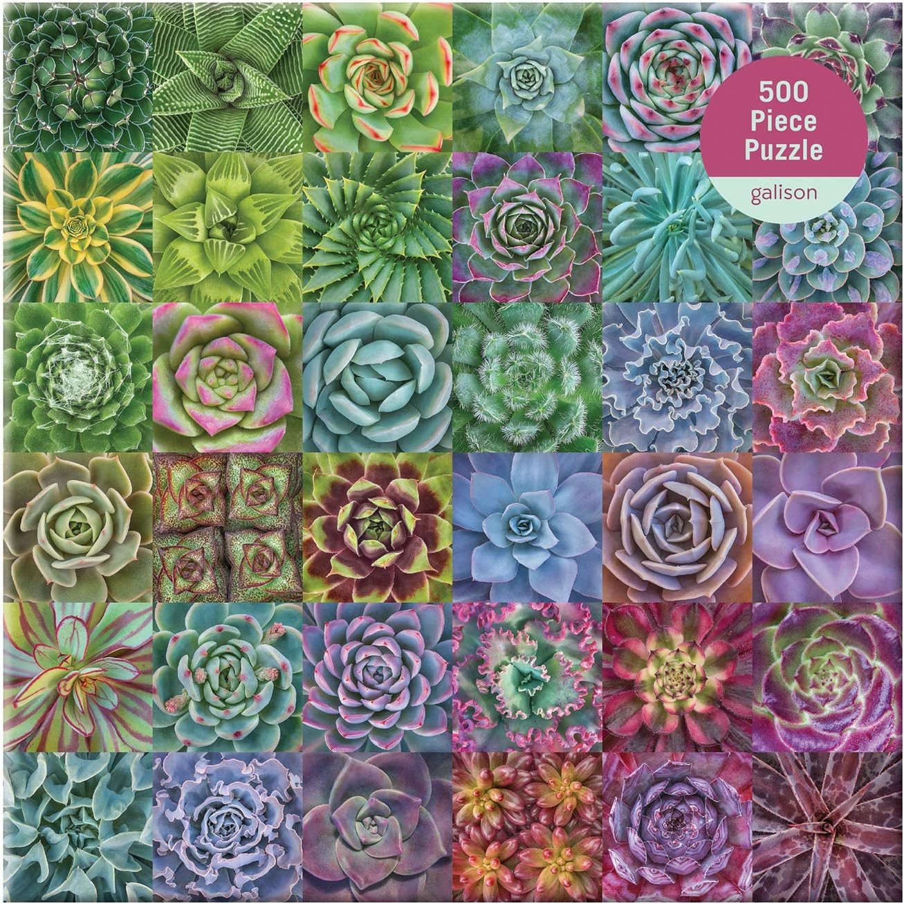 Galison Succulent Spectrum Puzzle, 500 Pieces, 20” x 20'' – Challenging ...