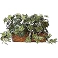 Amazon.com: Nearly Natural 12.5in. Puff Ivy with Ledge Basket Silk ...