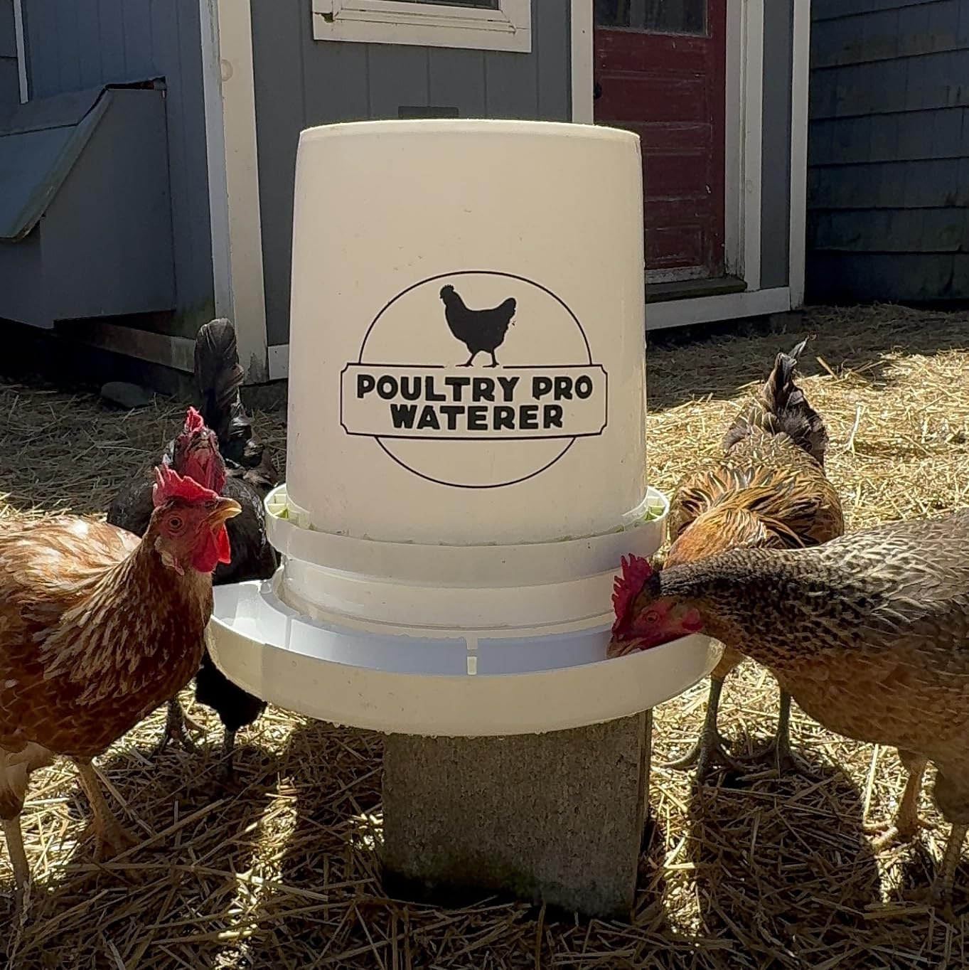 Mua The Original Poultry Pro Waterer | DIY Chicken Waterer for Chicken ...