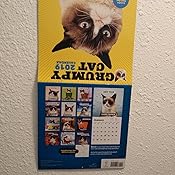 Grumpy Cat 2019 Wall Calendar: Grumpy Cat: 9781452159997: Amazon.com: Books
