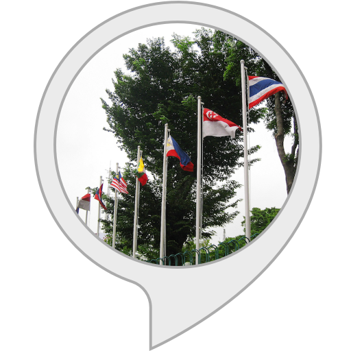 Flags fun : Amazon.in: Alexa Skills