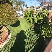 Amazon.com : Southland Sod 4 Marathon II Grass Seed Mix, 5 Pounds ...