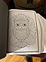 Adorable Owls: An Adult Coloring Book with Cute Owl Portraits, Fun Owl ...