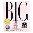 Big (Caldecott Medal Winner & Coretta Scott King Honor Title): Harrison ...