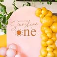 Amazon.com: Capiont Our Little Sunshine is One Decal - Baby 1st ...