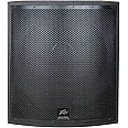 Amazon.com: Peavey SP118 18" Subwoofer : Musical Instruments