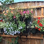 Wonderwall Self Watering Vertical 3 Pocket Garden Wall Planter Outdoor ...