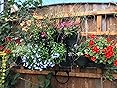 Wonderwall Self Watering Vertical 3 Pocket Garden Wall Planter Outdoor ...