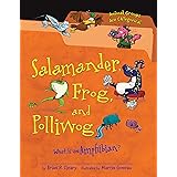 Dolphin, Fox, Hippo, and Ox: What Is a Mammal? (Animal Groups Are ...