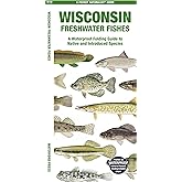 Alberta Freshwater Fishes, 3rd Ed: A Folding Guide to Native and ...