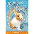 A Splash of Magic #3 (Magic Bunny): Bentley, Sue, Swan, Angela ...
