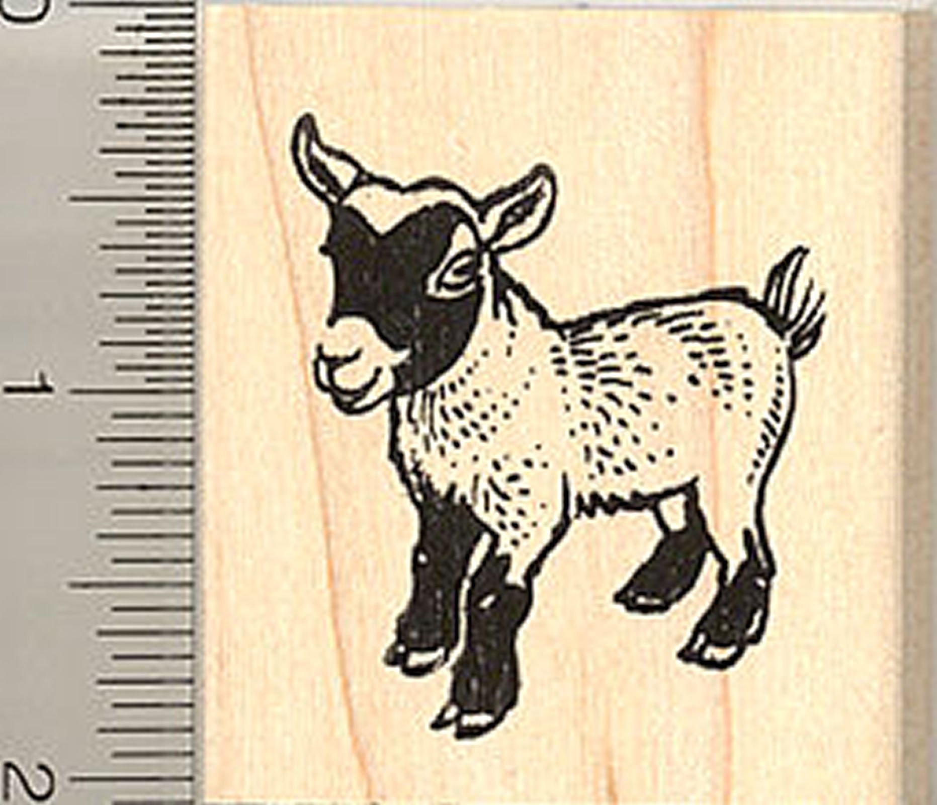 African Pygmy Goat Rubber Stamp | Desertcart INDIA