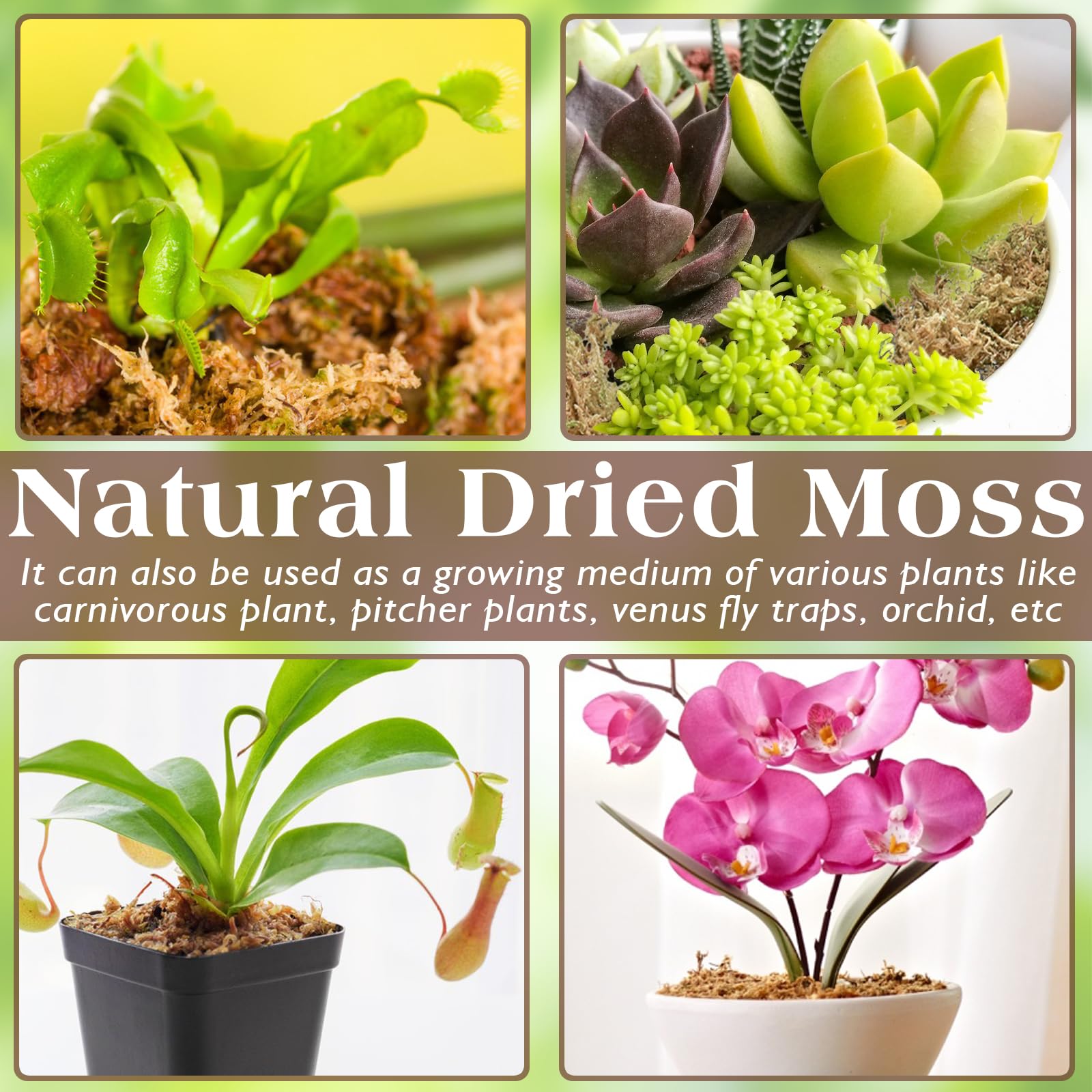 Mua ZeeDix 6OZ Sphagnum Moss for Reptiles, 8QT Premium Dried Moss for ...