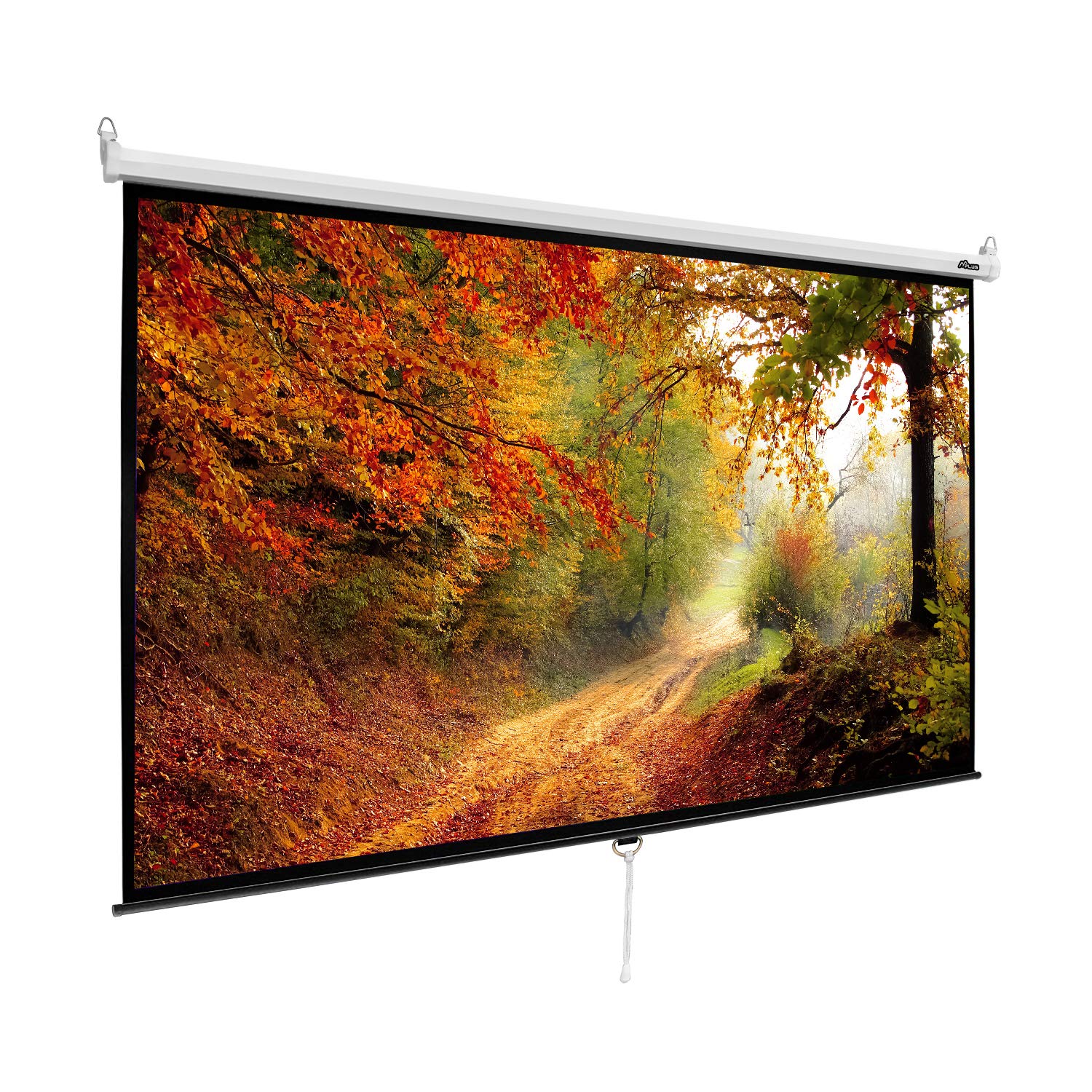 Buy MPLUS 100" Diagonal 16:9 HD Manual Pull Down Projector Screen with ...