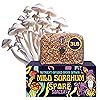 SPORE SORCERY 3 LB Sterilized Milo Sorghum Grain Spawn | Nutrient ...