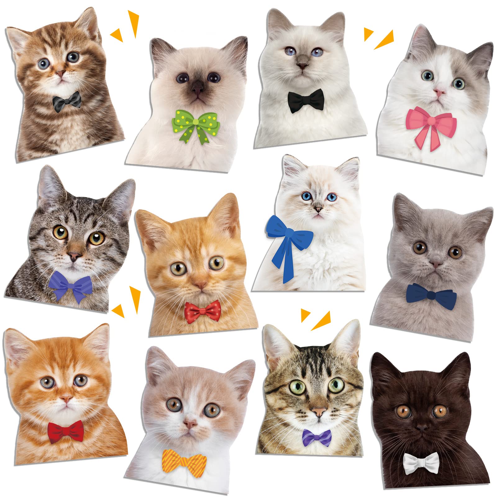 Ecally 12 Pcs Fun Cat Refrigerator Magnets Cute Fridge Decorative Funny ...