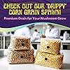 SPORE SORCERY 3 LB Sterilized Milo Sorghum Grain Spawn | Nutrient ...
