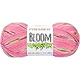 Amazon.com: Premier Yarns Bloom Yarn-Baby's Breath