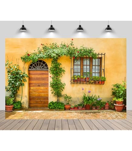 Backdrop Clips BELECO 7x5ft Post Office Backdrop - Cartoon Street Scene ...
