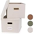 Amazon.com: ZICOTO Decorative File Organizer Box Set of 2 - Collapsible ...