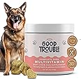 Amazon.com: Good Trouble Pets Complete Care Dog Multivitamin, Ashwagandha, Biotin, Yucca ...