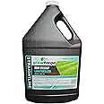 Amazon.com : Generic Growforge - Straightline - Liquid Iron Fertilizer for Lawns (1 Gallon ...