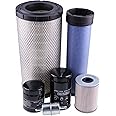 Amazon.com: Solarhome 500 Hours Filter Kit MIU800650 MIU802154 ...