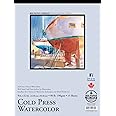 Amazon.com: Bee Paper Cold Press 90 Pound Watercolor Paper Pad, 9-Inch ...