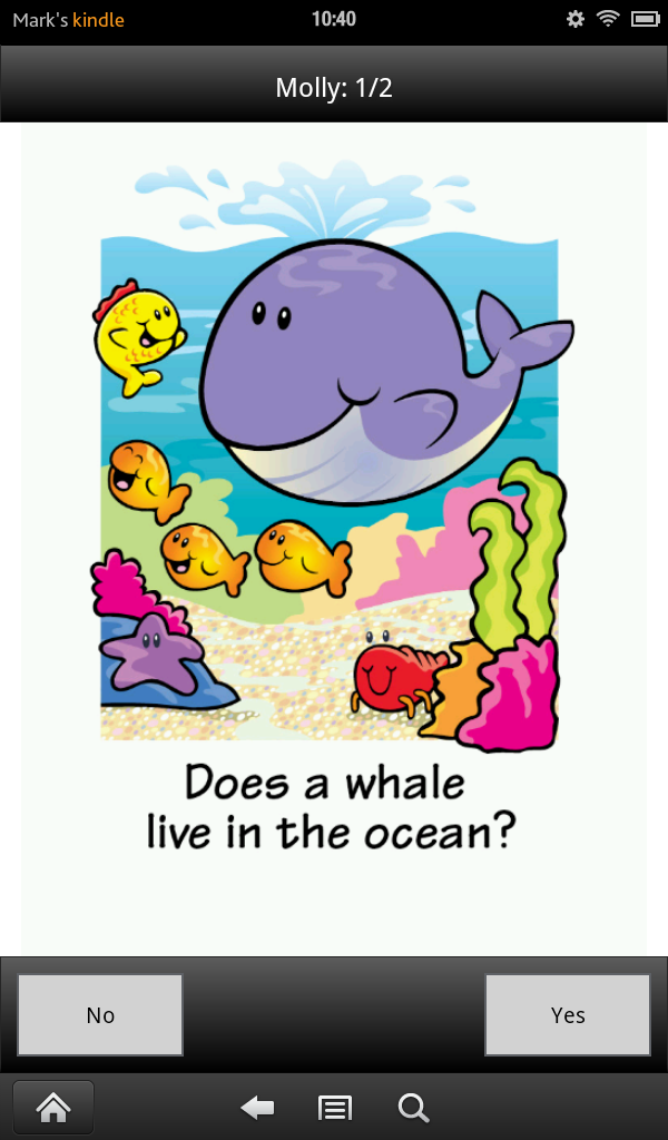 Yes or No? Fun Deck:Amazon.com:Appstore for Android