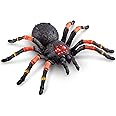 Amazon.com: Robo Alive Giant Tarantula by ZURU Battery-Powered Robotic ...