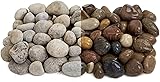 Quarrystore Assorted Scottish Beach Pebbles from 14mm to 20mm in Size ...