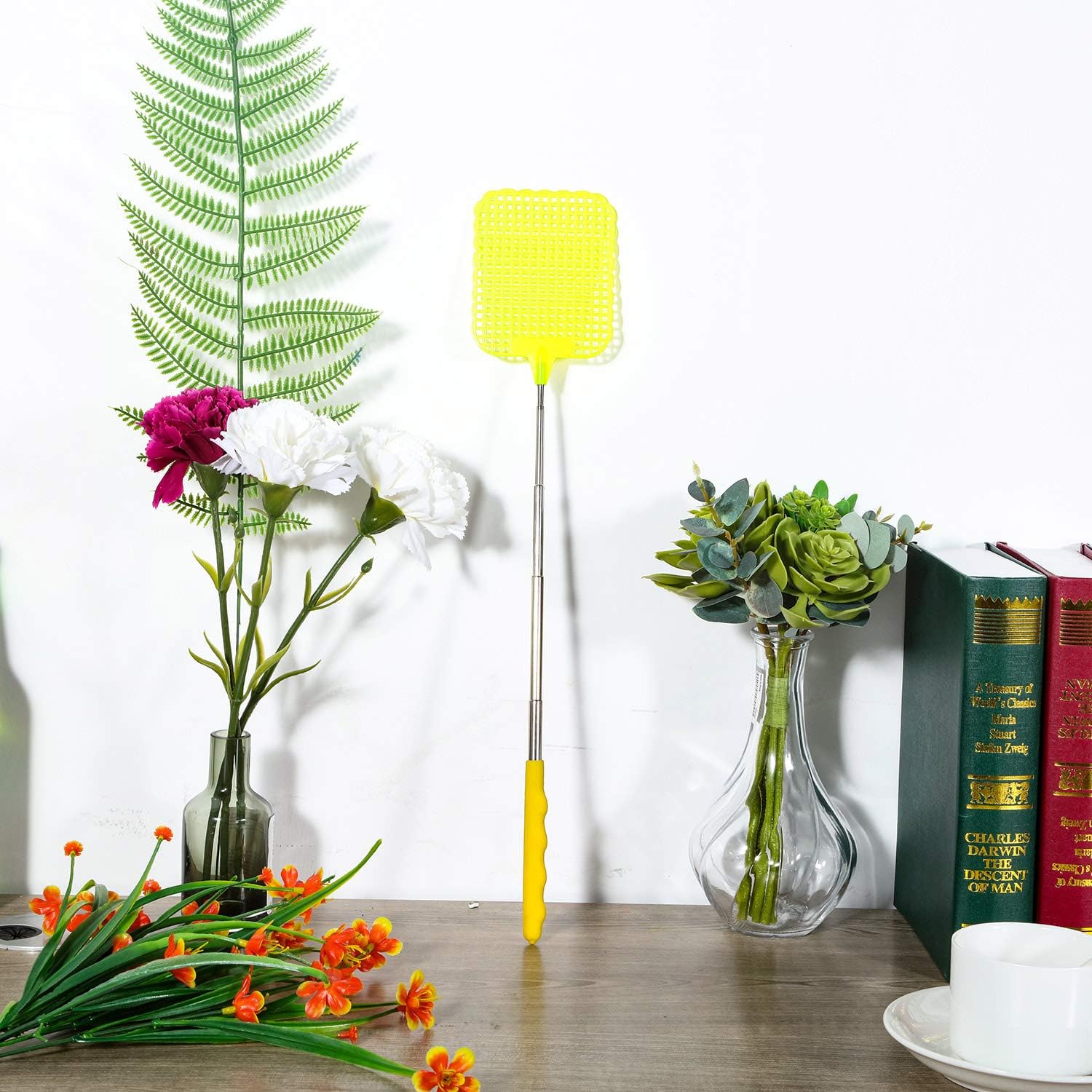 5 Pack Extendable Fly Swatter, Manual Swat Pest Control with Strong ...