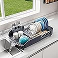 Amazon.com - SUNLY Dish Drying Rack, Expandable Dish Racks for Kitchen ...