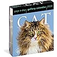Amazon.com: Cat Page-A-Day Gallery Calendar 2021: 9781523508921 ...