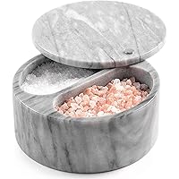 Amazon.com: Salt Cellar with Swivel Top and Dual Compartment Elegant ...