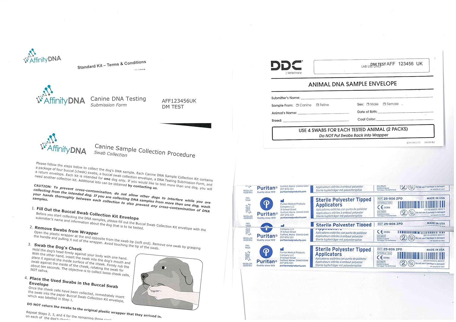 AffinityDNA Dog Degenerative Myelopathy (DM) DNA Test - Home Sample ...