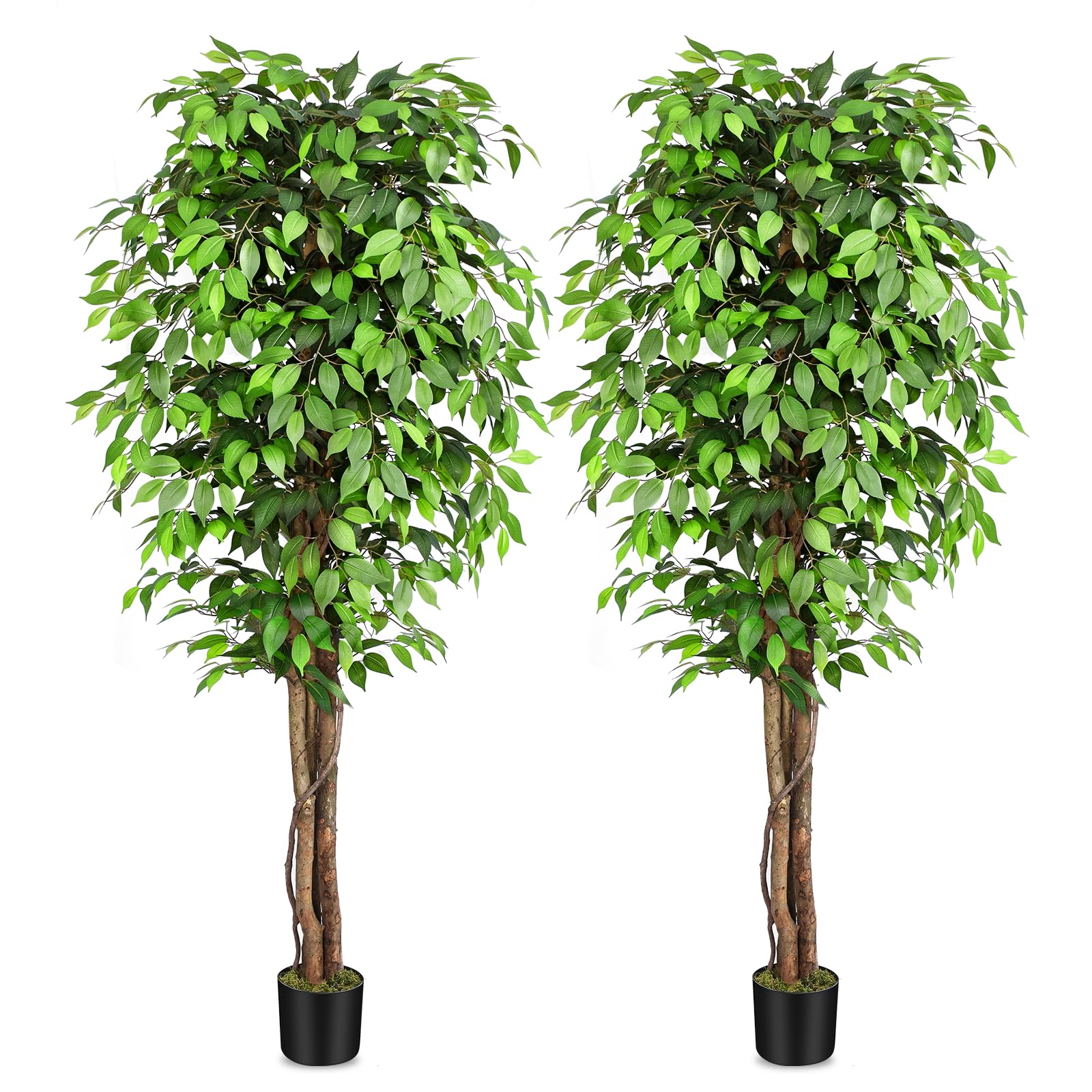 Keeplush 7ft Large Ficus Artificial Trees with Natural Curved Trunks ...