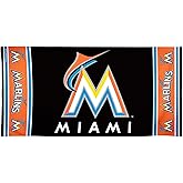 Amazon.com : NCAA South Carolina Fighting Gamecocks 30 by 60 Fiber Reactive Beach Towel : Sports ...