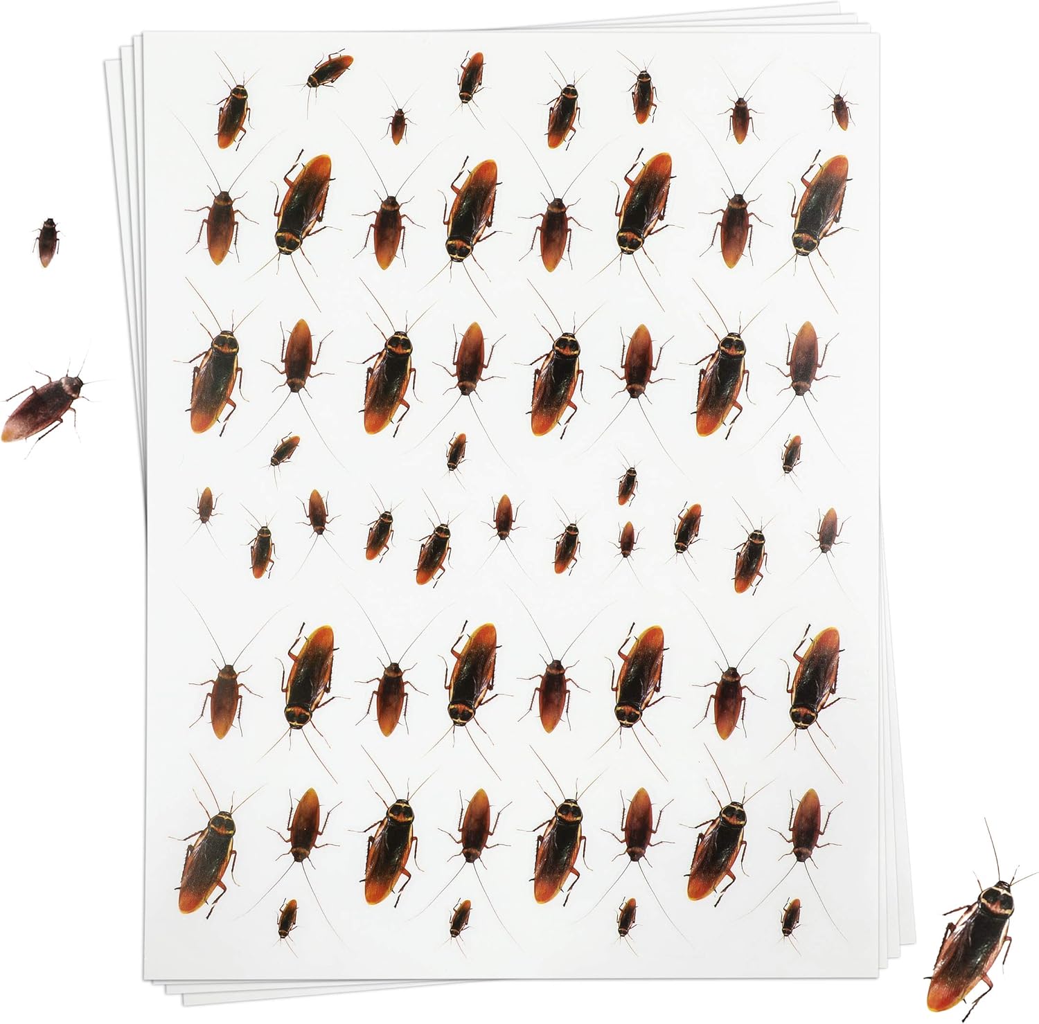 Amazon.com: Removable Cockroach Stickers for Pranks (4 Sheets): Arts ...