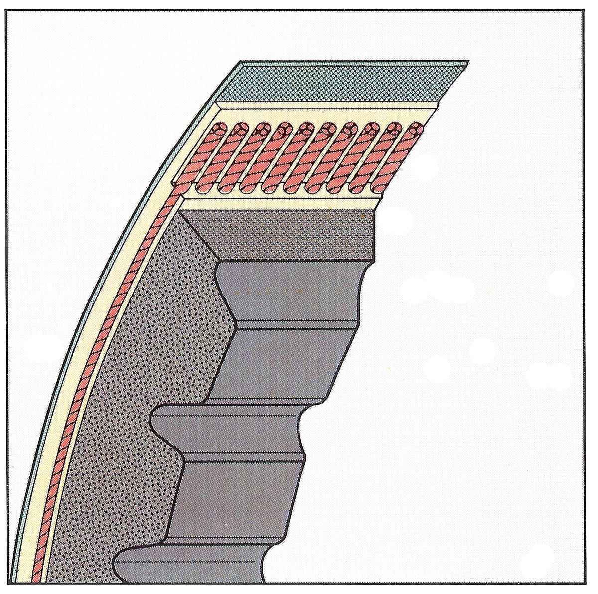 XPA 1557 Original New Ametric(R) Narrow Wedge Section Metric V-Belt ...