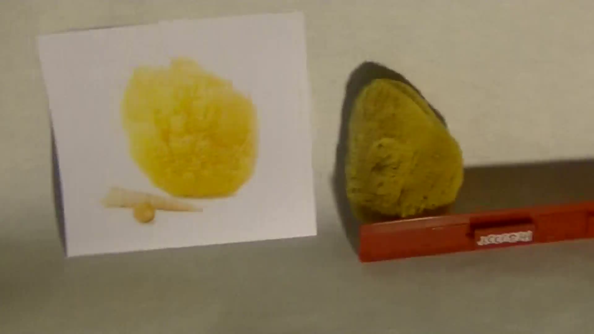 Amazon.com : Natural Grass Sea Sponge - 5-6 Inch : Bath Sponges : Beauty