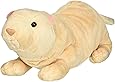 Naked Mole Rat Gets Dressed: Mo Willems: 9781423114376: Amazon.com: Books