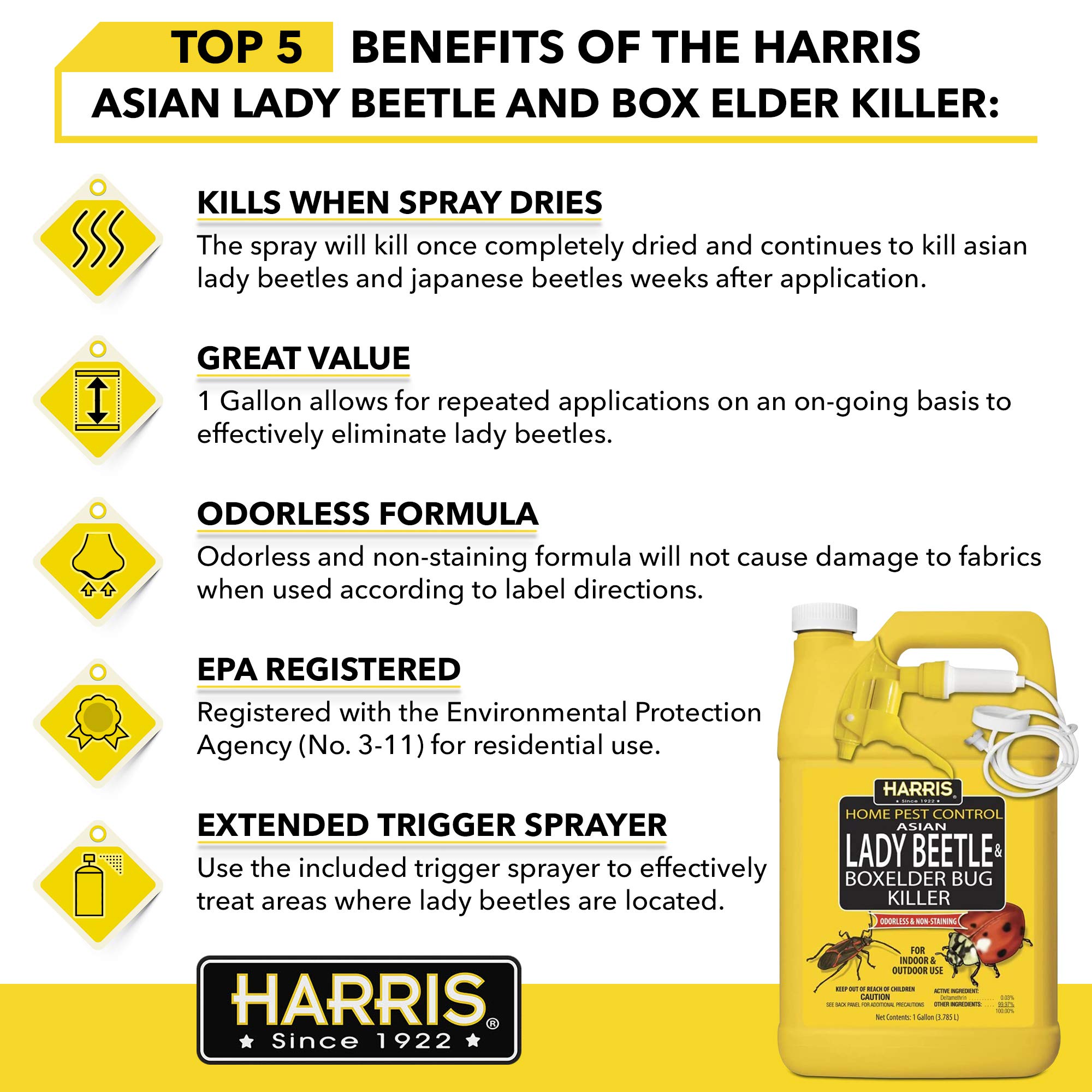 Mua Harris Asian Lady Beetle, Japanese Beetle, and Box Elder Killer ...