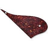 Amazon.com: Golden Gate M-401A F-Model Mandolin Pickguard Assembly ...