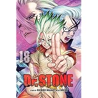 Amazon.com: Dr. STONE, Vol. 21 (21): 9781974728978: Inagaki, Riichiro, Boichi: Books