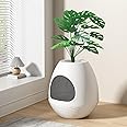 Amazon.com: COZIVVOVV Plant Litter Box, Hidden Cat Litter Box with ...