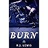 Ignite - Kindle edition by R.J. Lewis. Literature & Fiction Kindle ...