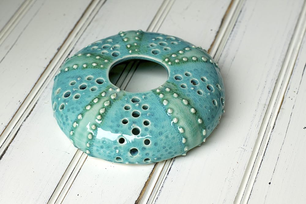 Amazon.com: Handmade Porcelain Sea Urchin Sculpture Aqua, Medium: Handmade