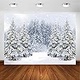 Amazon.com : Avezano Winter Scene Backdrop Wonderland Snowflake Photography Background Bokeh ...