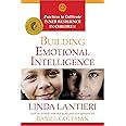 Building Emotional Intelligence: Practices to Cultivate Inner ...
